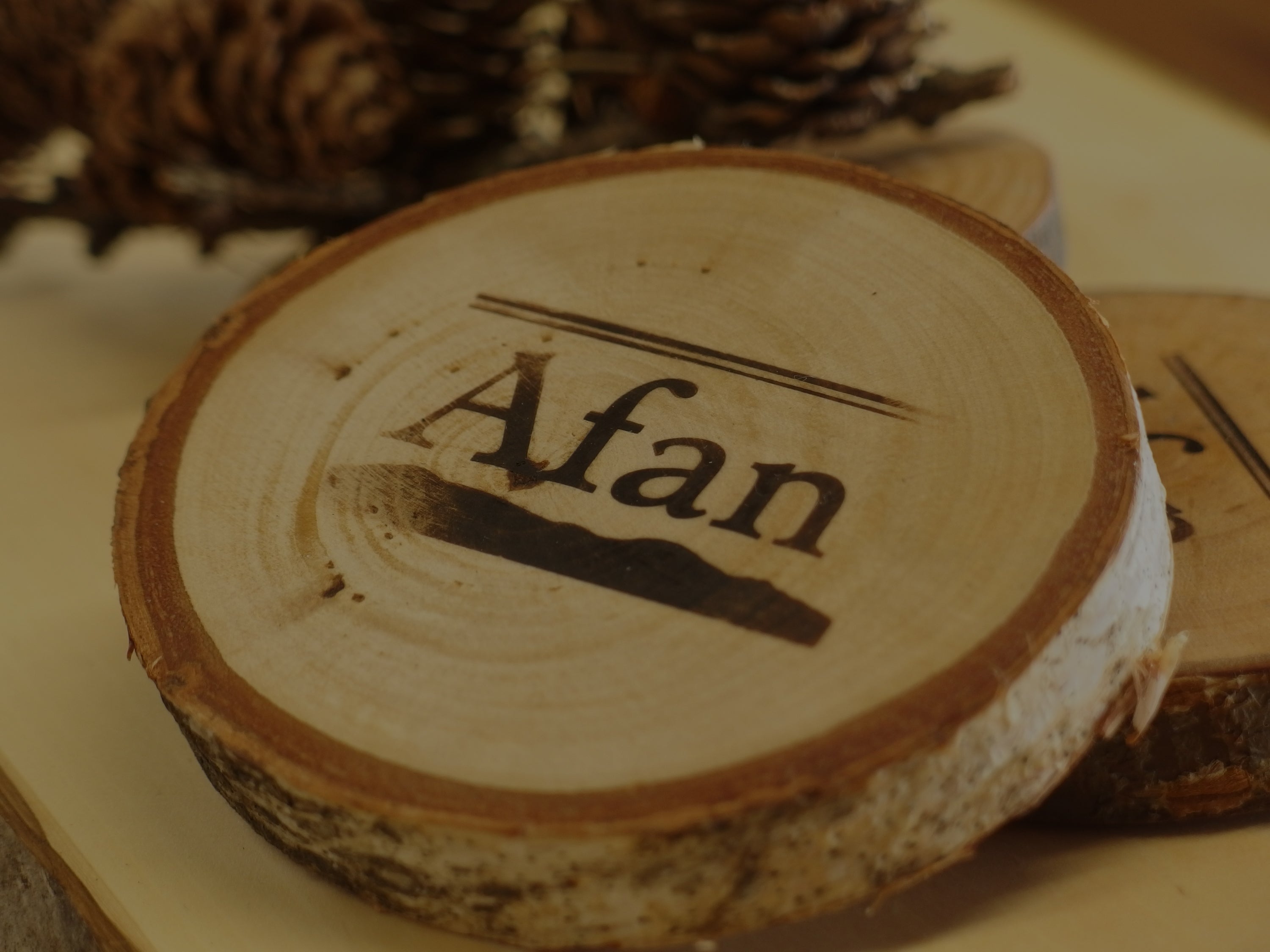 アファンの森とは – C.W.ニコル・アファンの森財団